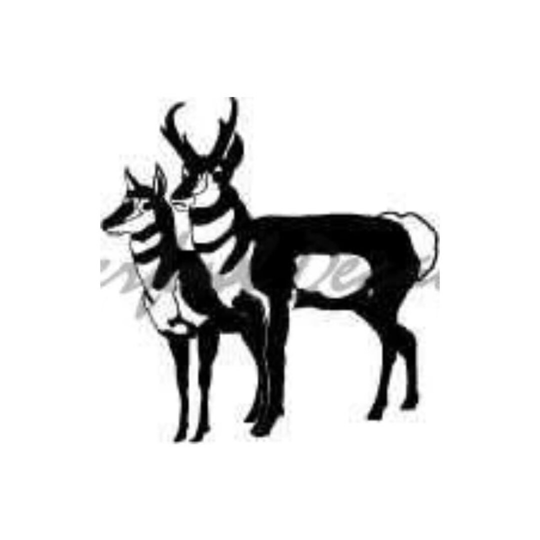 Pronghorn Antelope Pair Standing Decal Pronghorn Vinyl - Etsy