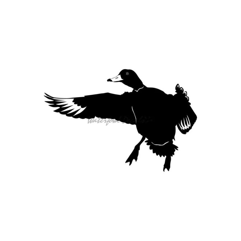Cupped Duck Silhouette