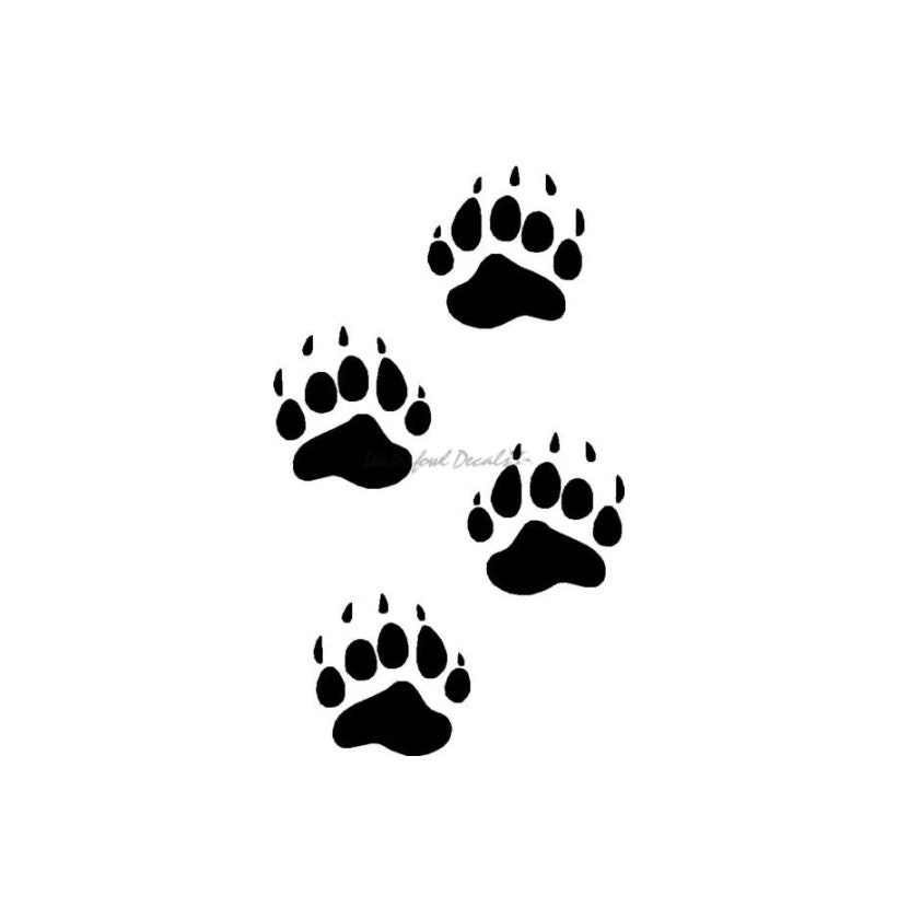Bear Tracks Pattern Wall Decal Bear Tracks Car Truck Window | Etsy