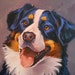 Big Beautiful Berner - Etsy