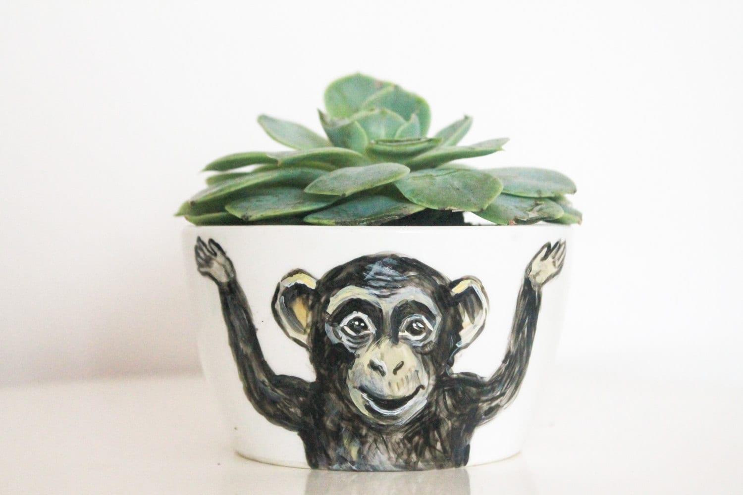 Monkey Succulent Planter Monkey Plant Pot Animal Planter Unique Planter ...