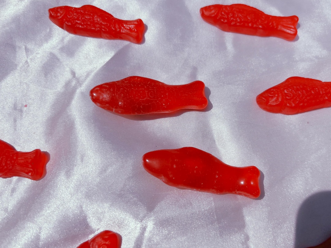 Red Fish Gummy Candy Magnet - Small Gummi Lure Snack Fridge Magnet ...