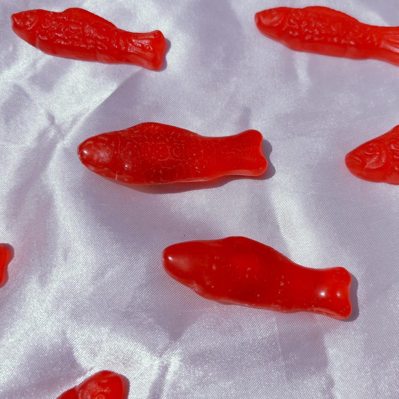 Fish Magnet Lure - Etsy