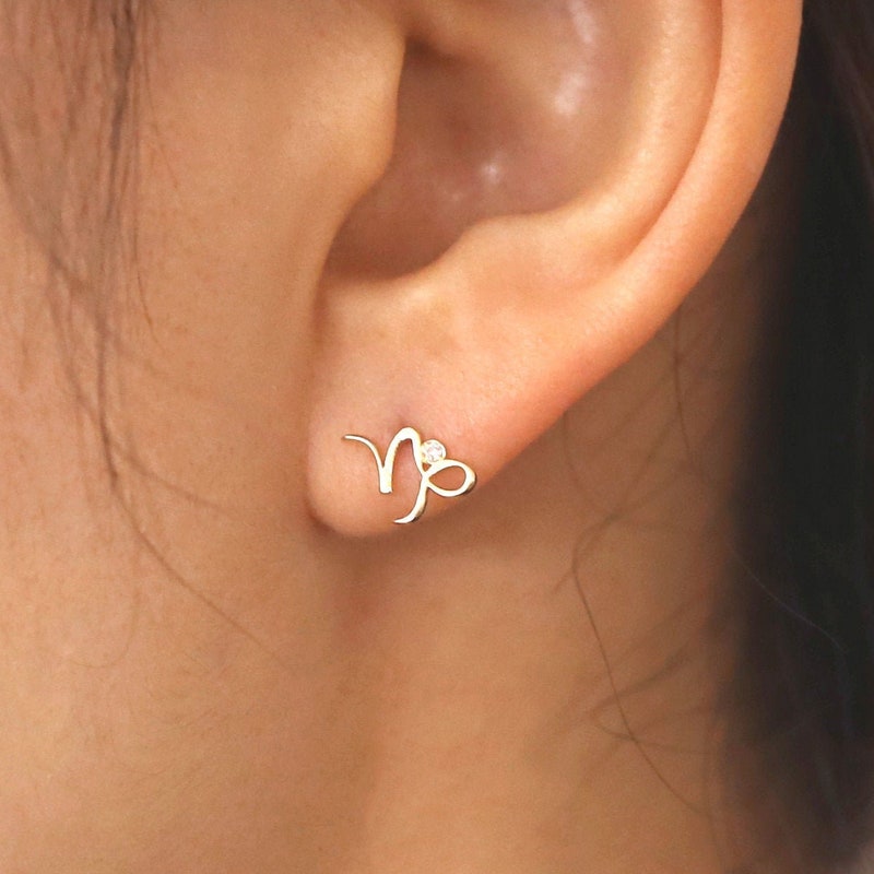 Capricorn Earrings - Etsy