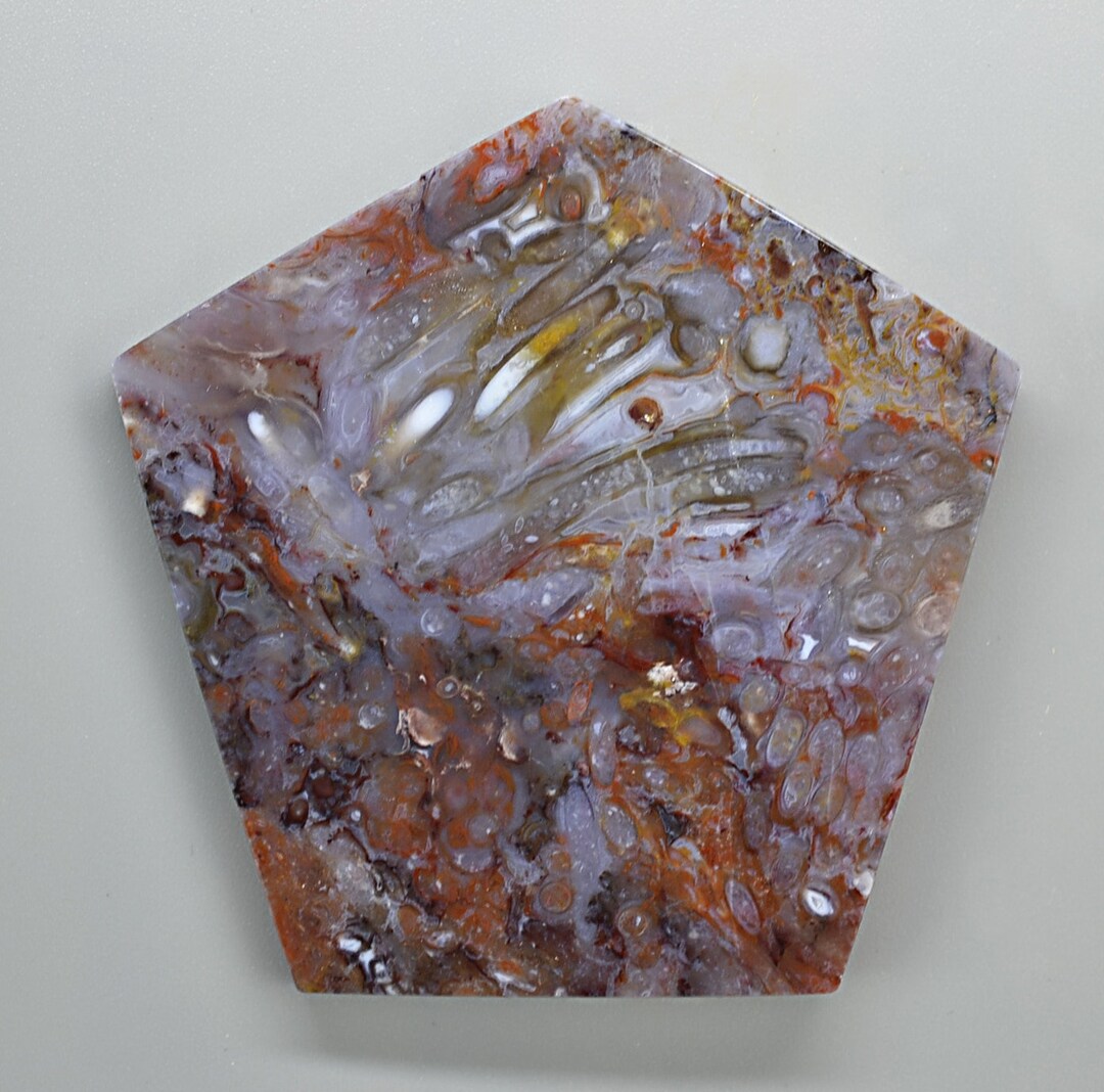 Indonesian Fossil Palm Root 143.50 Ct 5 Sided Cabochon 59.80 X 60.00 X ...