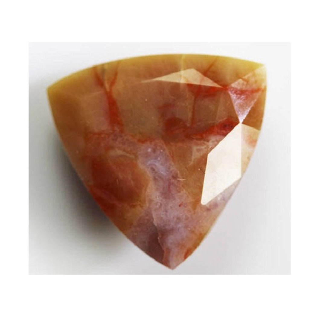 Dino Coprolite 21.60cts Trillion Cut 20mm Utah T904 Loose Gem - Etsy