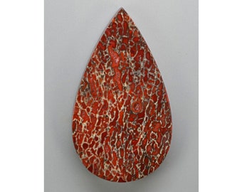 Red Dinosaur Bone | Etsy