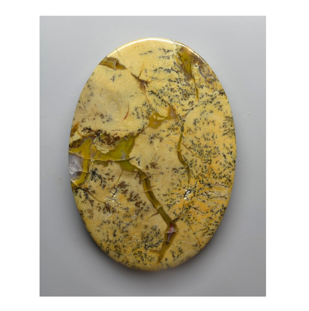 Dinosaur Coprolite 68.67 Ct Oval Cabochon 49.60 X 35.60 X 4.7 Mm Z182 ...