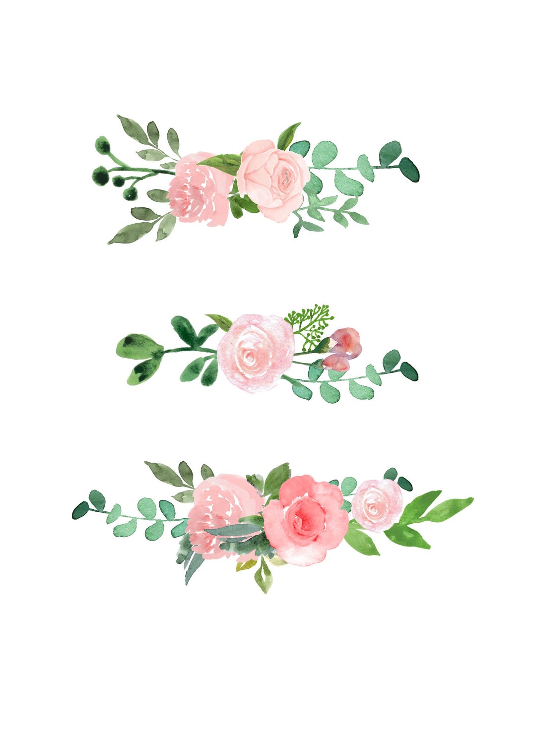 Blush Pink Roses Divider Watercolor Arrangement Roses Greenery Blush ...
