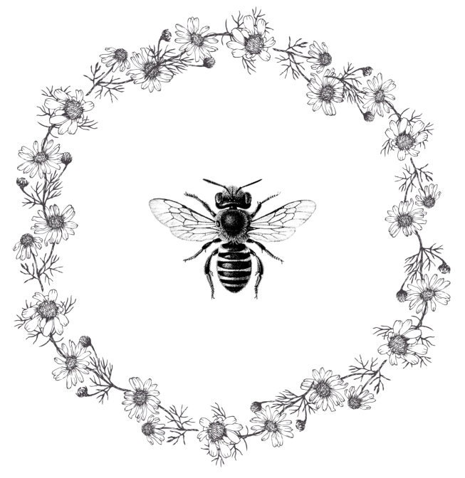 Bee Black And White Clipart