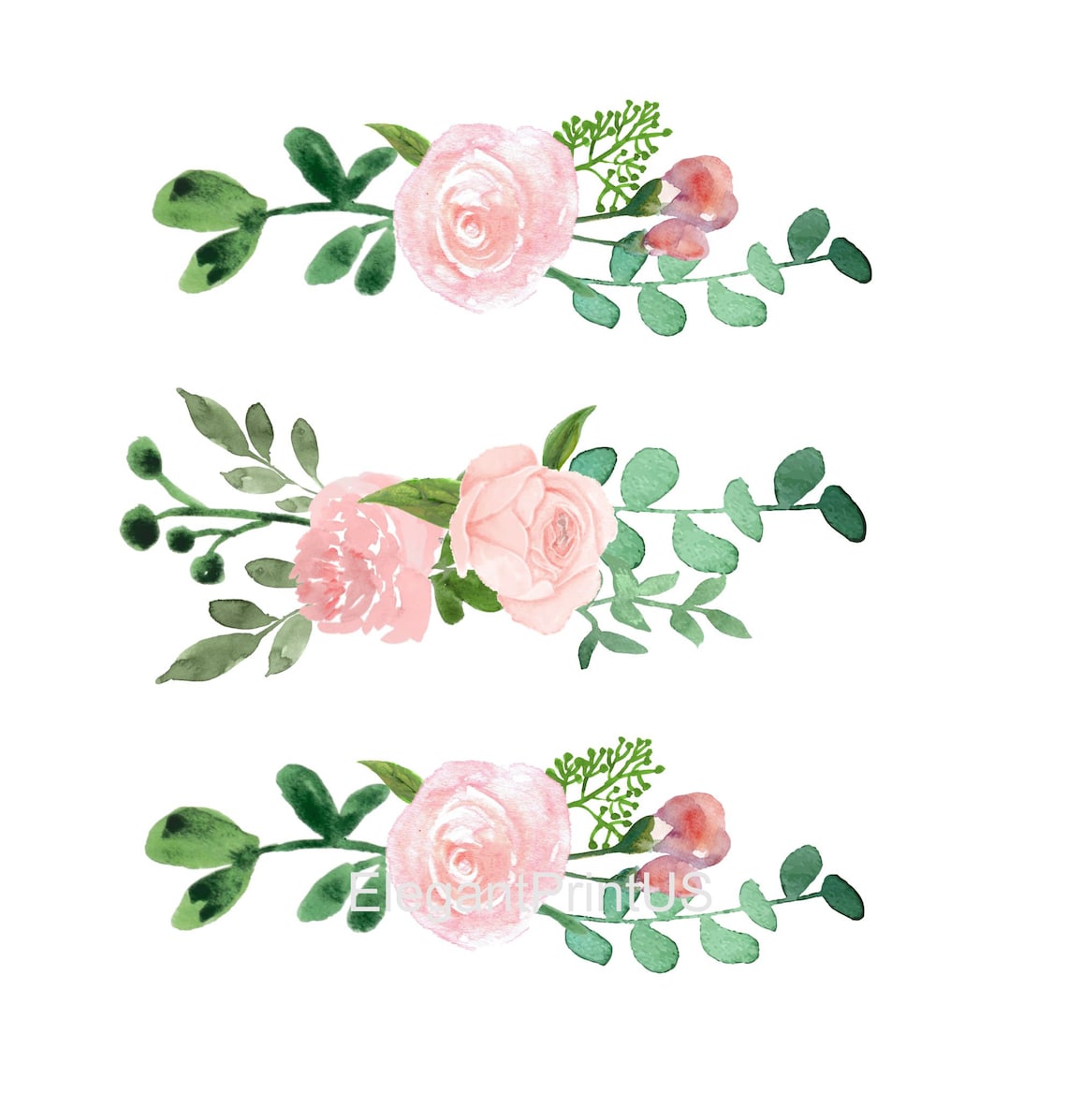 Blush Pink Roses Divider Watercolor Arrangement Roses Greenery - Etsy
