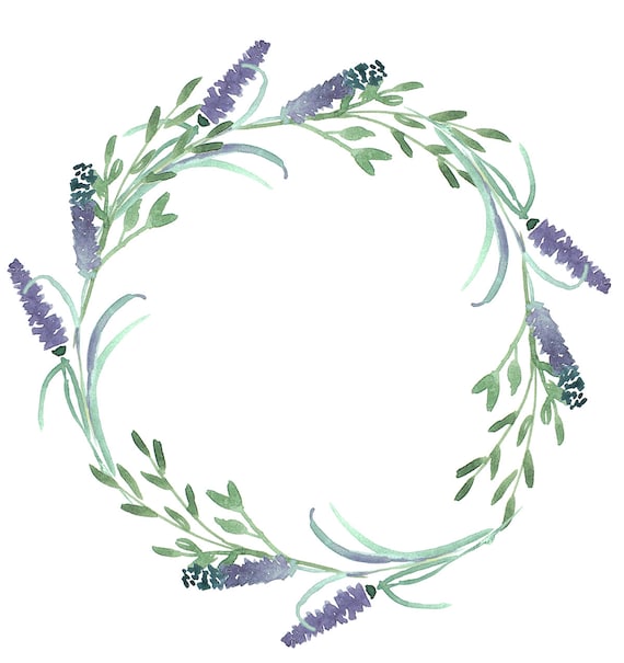 Lavender Herb Clipart