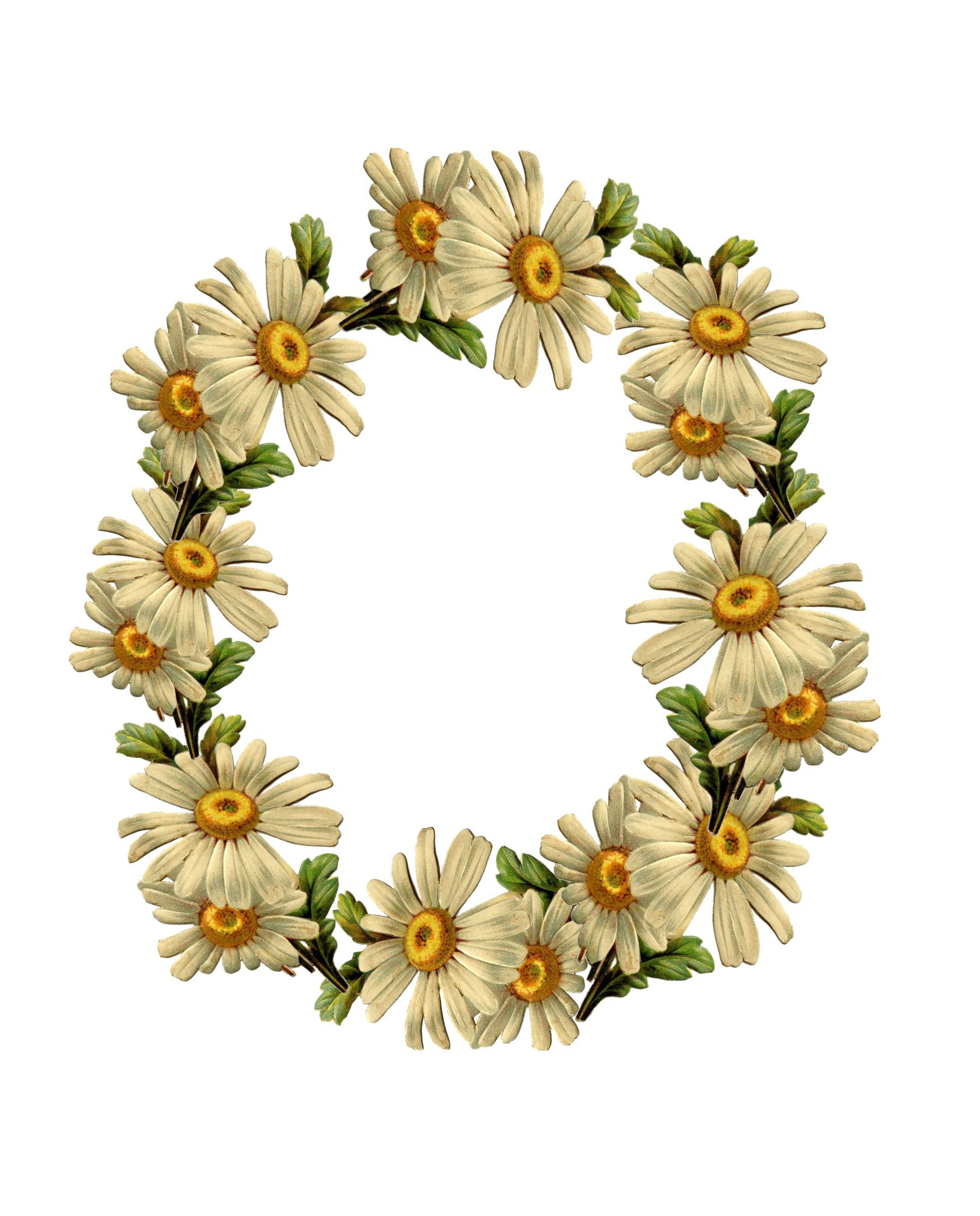 Transparent Daisy Flower Crown