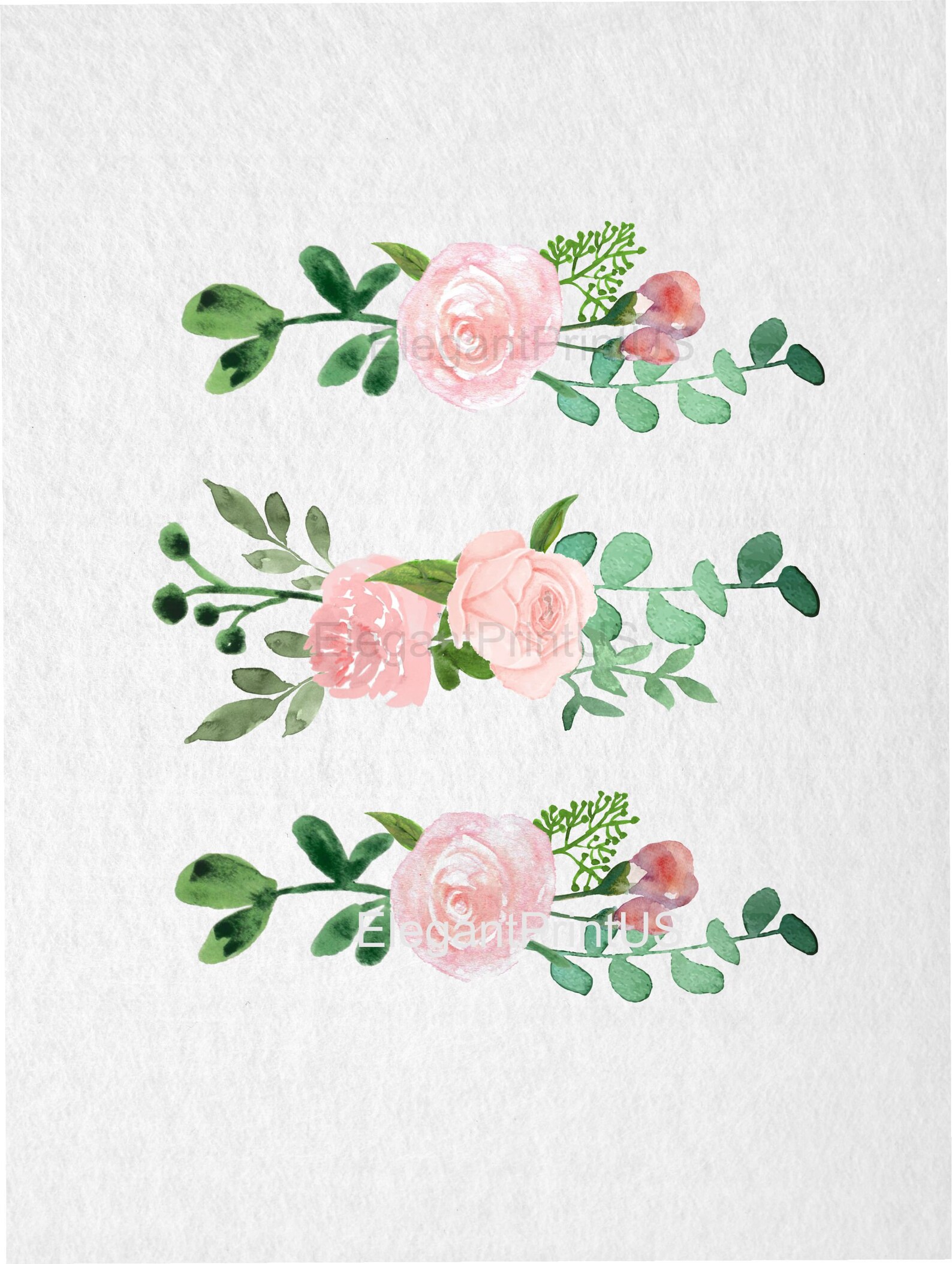 Blush Pink Roses Divider Watercolor Arrangement Roses Greenery - Etsy