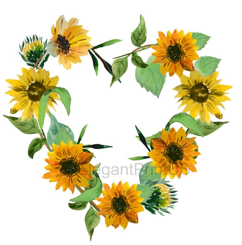 Sunflowers Wreath Heart Shaped Floral Frame Watercolor - Etsy