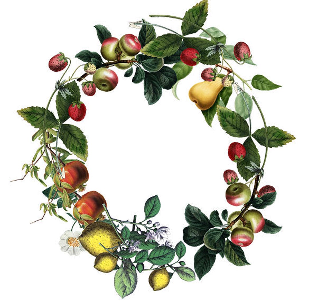 Fruit Wreath Vintage Botanical Clipart Fruit Clipart Apple Pear ...