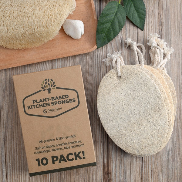 Natural Kitchen Sponge - Etsy