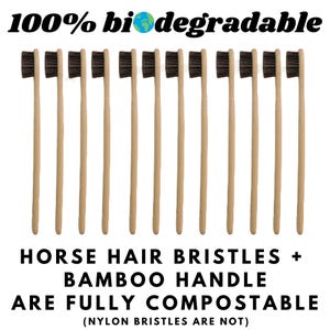 Horsehair Bristle Bamboo Toothbrush - Totally Biodegradable No Nylon ...