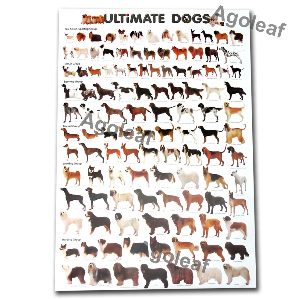 Ultime affiche de races de chien plus de 100 espèces de | Etsy