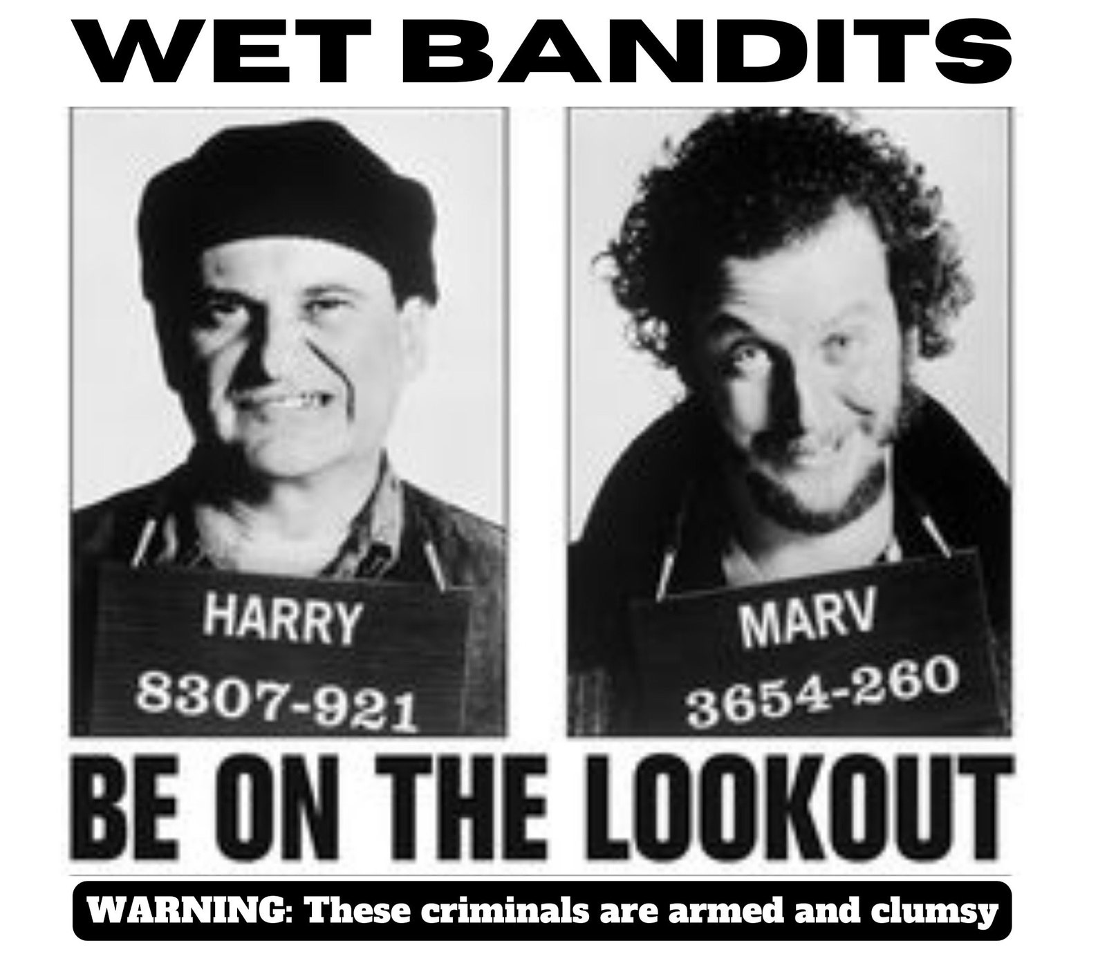 Wet Bandits Mugshot PNG Digital Download - Etsy