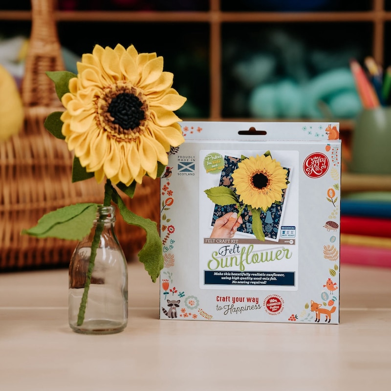 Felt Craft Kit - Etsy