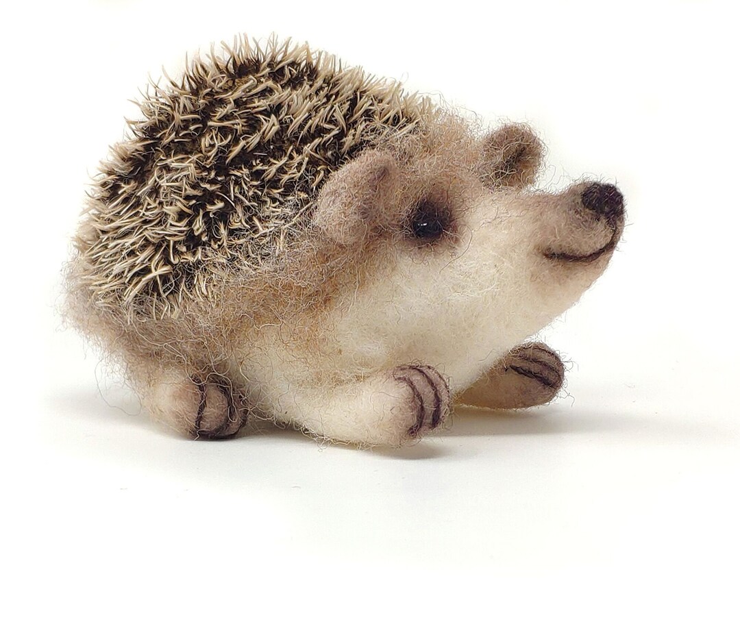 Baby Hedgehog Needle Felting Craft Kit - Etsy