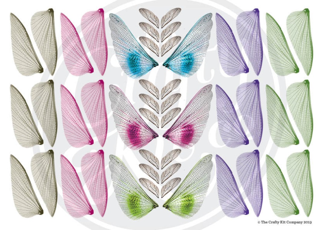 Fairy Wings, Insect Wings, Butterfly Wings, Bumble Bee Wings Printable ...