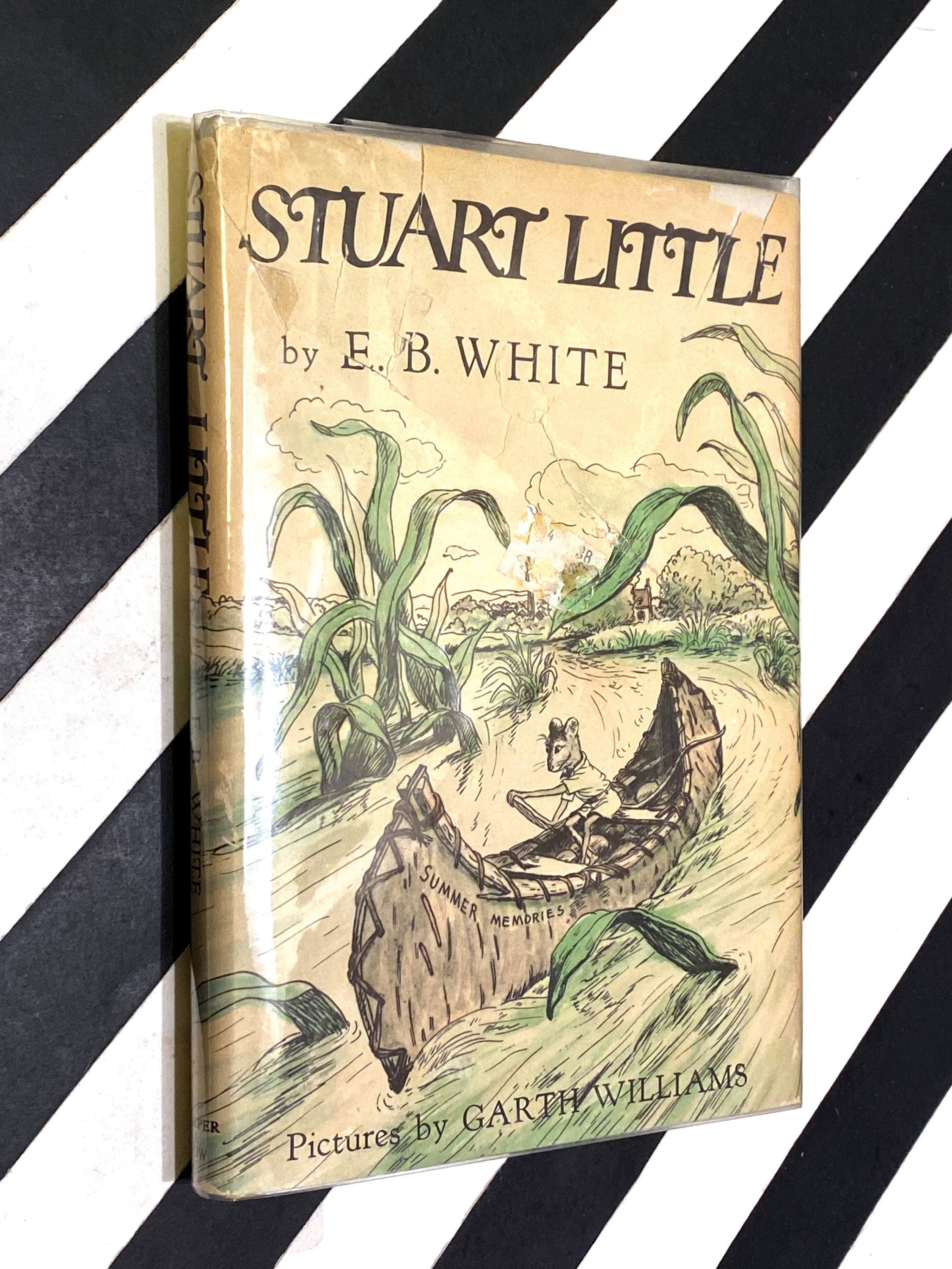 Stuart Little Book