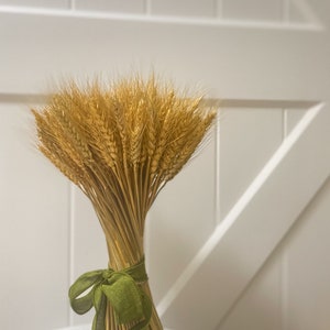Wheat Bundle Rustic Wedding Bouquet Natural Fall Thanksgiving Table ...