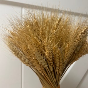 Wheat Bundle Rustic Wedding Bouquet Natural Fall Thanksgiving Table ...