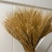 Wheat Bundle Rustic Wedding Bouquet Natural Fall Thanksgiving Table ...