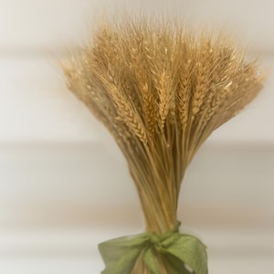 Wheat Bundle Rustic Wedding Bouquet Natural Fall Thanksgiving Table ...