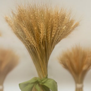 Wheat Bundle Rustic Wedding Bouquet Natural Fall Thanksgiving Table ...