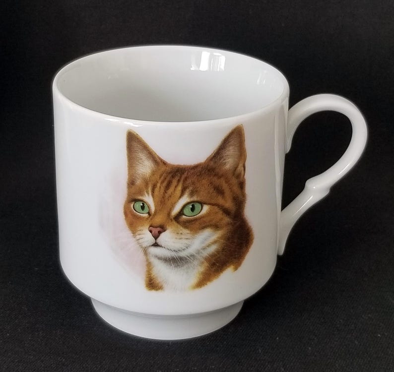 Ginger Cat Set by Schumann Arzberg Dessert Plate, Mug & Snack Dish With ...