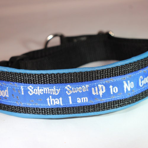 2.25mm Custom Prong Collar With Quick Release Buckle - Etsy