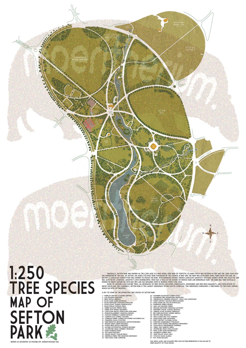 A1 Tree Species Map of Sefton Park Liverpool. 1:250 - Etsy UK