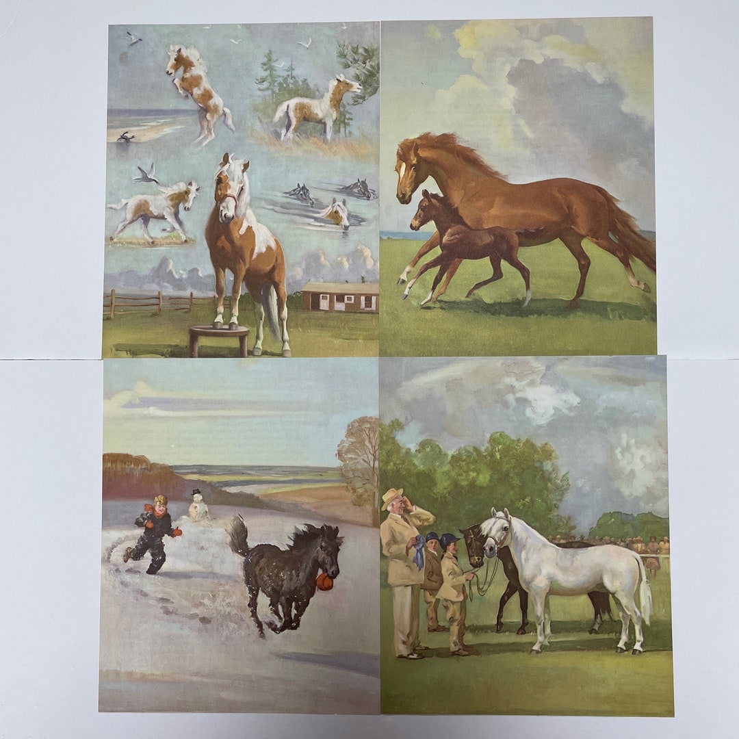Set 4 WESLEY DENNIS Horse Pony Equine Prints Pages Illustrations / Mare ...