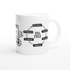 Cell Cycle Mnemonic Mug - Etsy