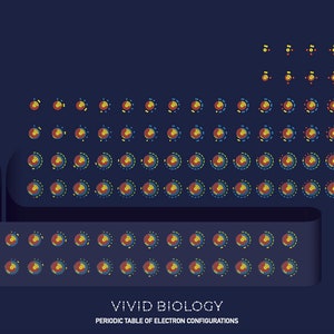 Periodic Table of Electron Configurations Chemistry Poster UK Stock - Etsy