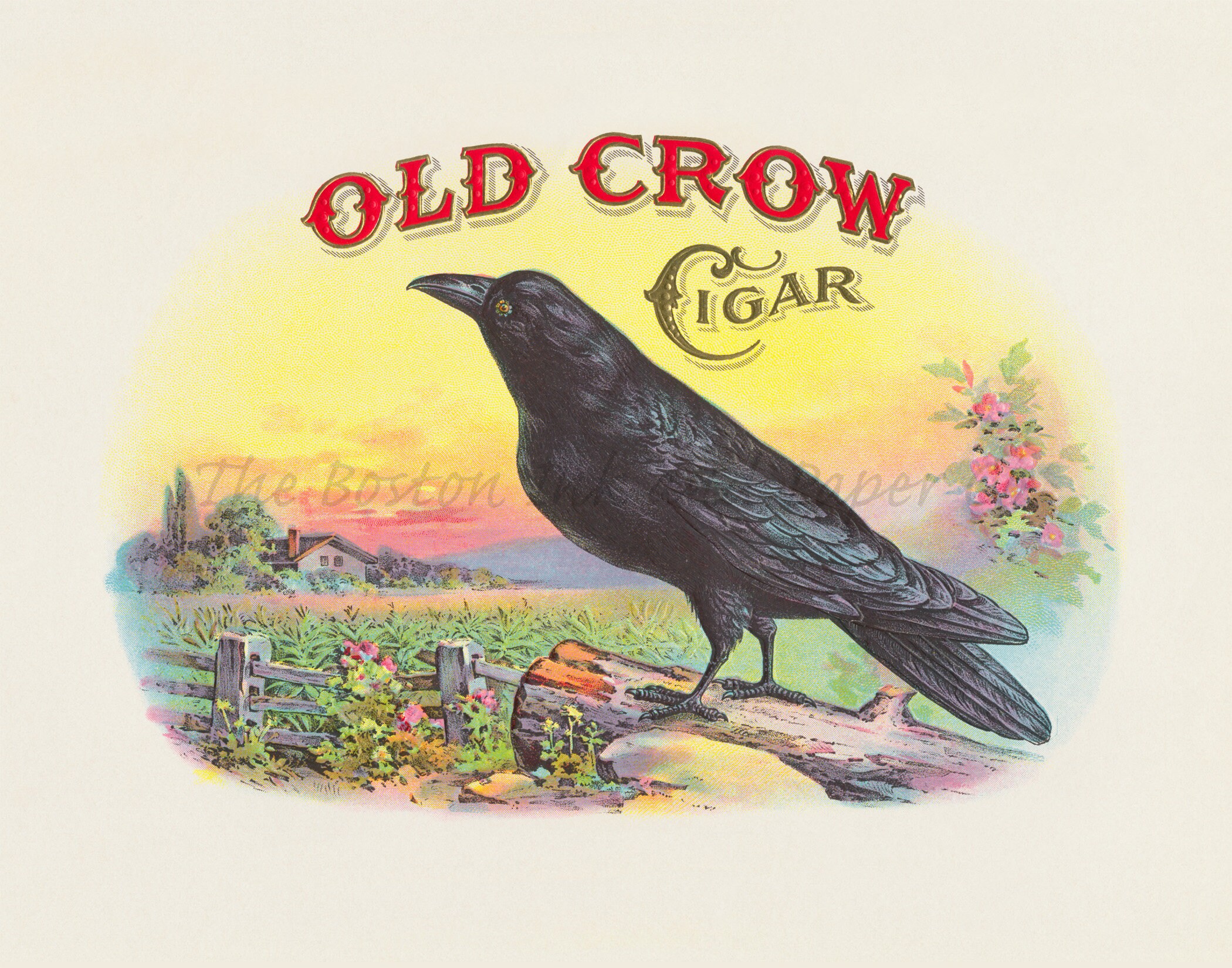 Old Crow Cigar Lounge Wall Decor Vintage Man Cave Sign Unique - Etsy