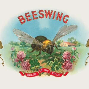 Beeswing Vintage Queen Bee Beehive Art Bumble Bee Art Honey Bee Art Bee ...