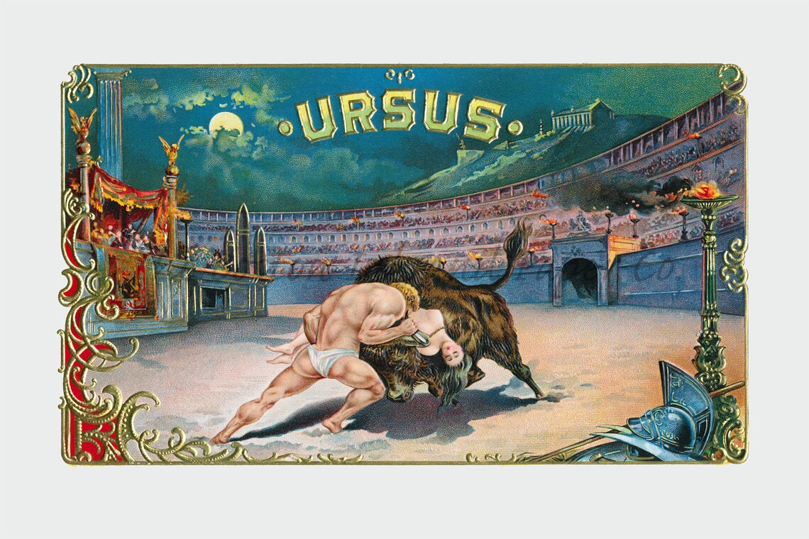 Ursus Roman Gladiator Fighting Bull in Colosseum Quo Vadis - Etsy