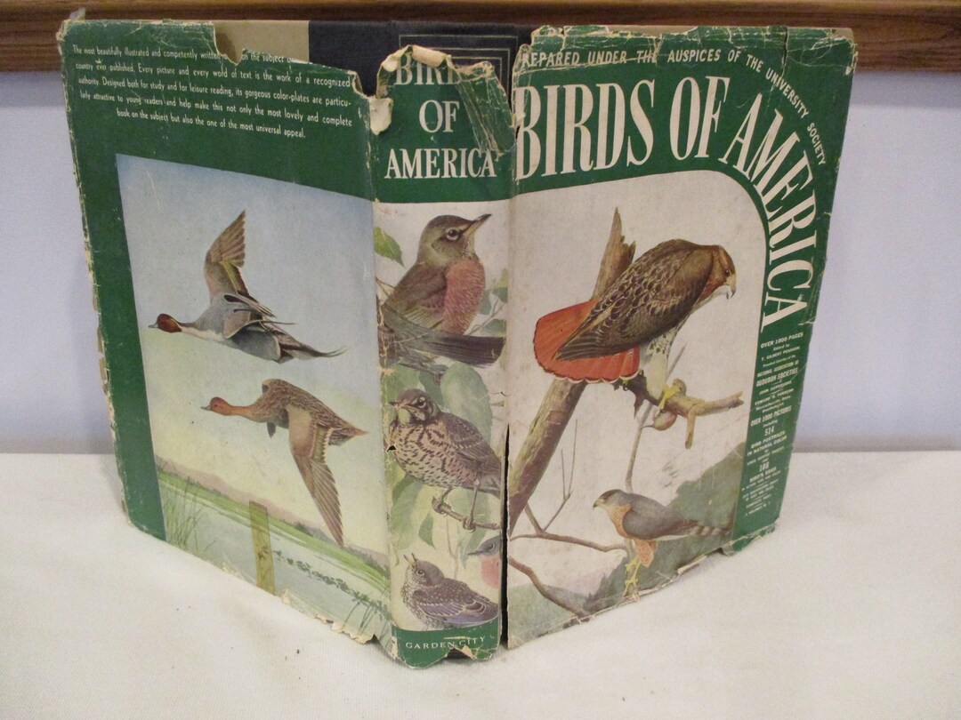 Birds of America by Pearson,bird Book,nature Lover,bird Pictures ...
