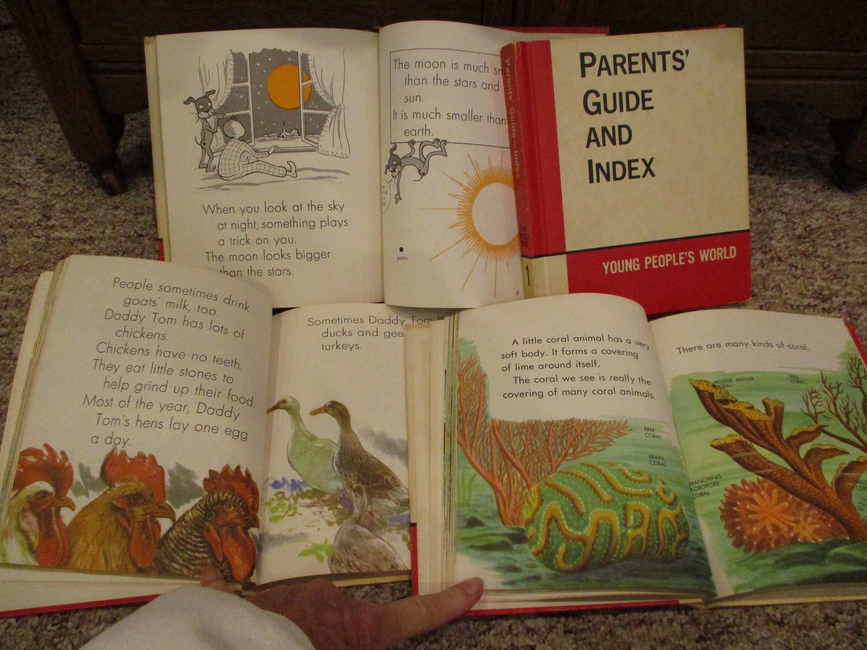 Index In A Childrens Book