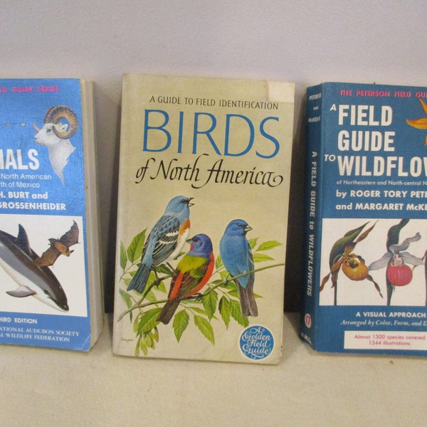 Field of Wildflowers - Etsy