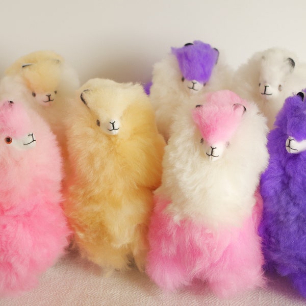 Fluffy Plushie - Etsy