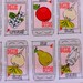 Riley Blake Fabric - Hubert and Sorrel Seed Packets White - Simone ...