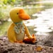 PDF Pattern - 'digby' - Felt Duck Softie - Instant Digital Download ...