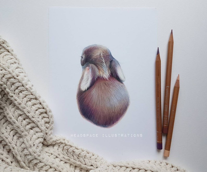 ORIGINAL Bunny Rabbit Drawing Colored Pencil Art by Headspace - Etsy
