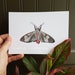 ORIGINAL 5x7 Pink Gray Moth Colored Pencil Art by Headspace ...